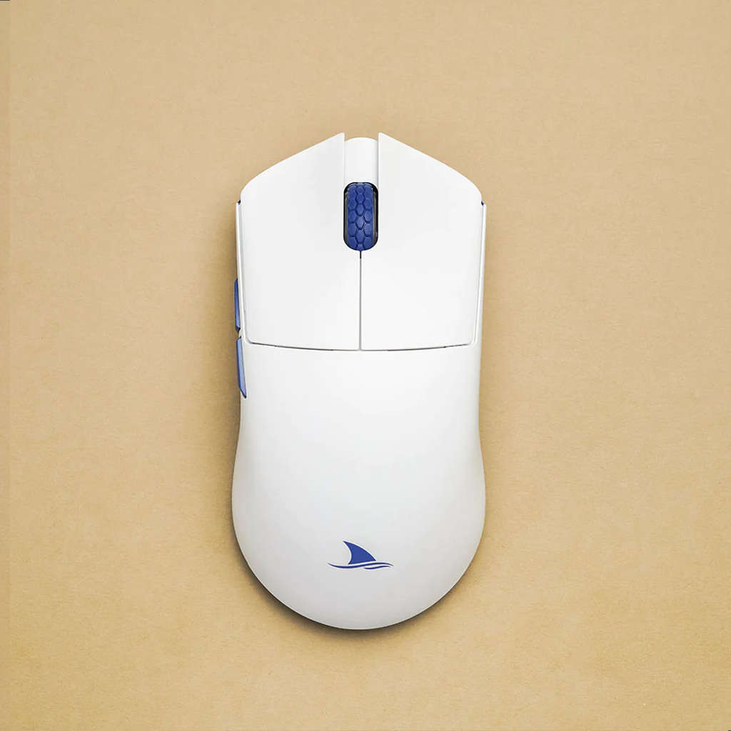 Darmoshark – Rotoboxph